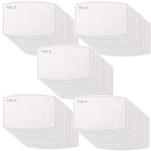 100 pack PM 2.5 Activated Carbon Filter Insert Ship from USA
