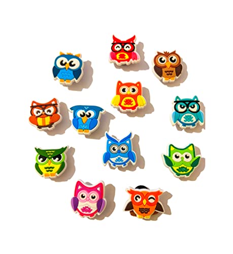 12PCS Owl Shoe Charms, Latest Fashion Style Shoe Charms, Animal Birds PVC Shoe Charms Accessories for Clog Shoes Decorations Bracelet Wristband Party Favor, Gifts For Kids Girls Boy Men Women Adults
