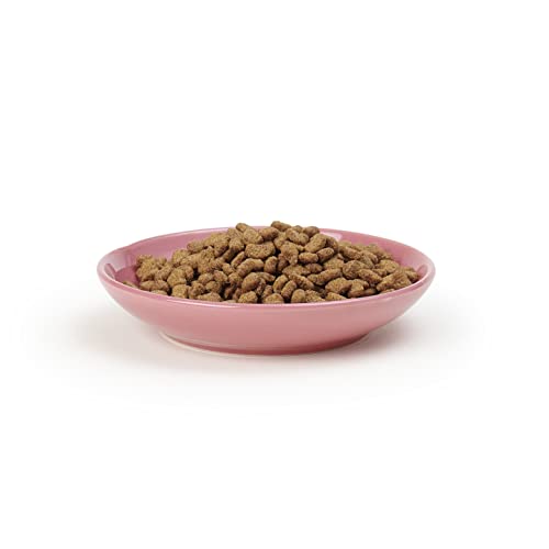 PetRageous 11035 Silly Kitty Dishwasher and Microwave Stoneware Cat Saucer 5-Inch Diameter 2.5-Ounce Capacity for Wet or Dry Cat Food Great For All Cats, Pink