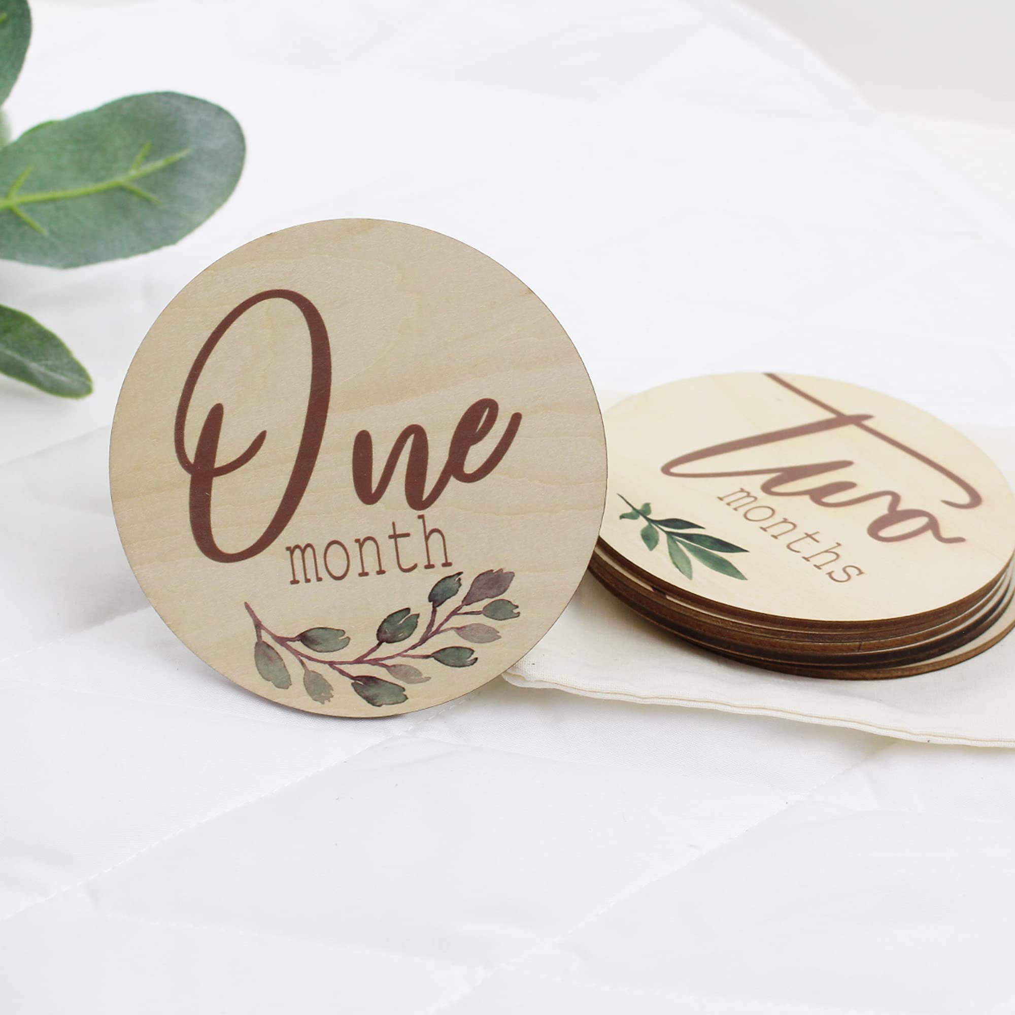Botanical Monthly Milestone Cards