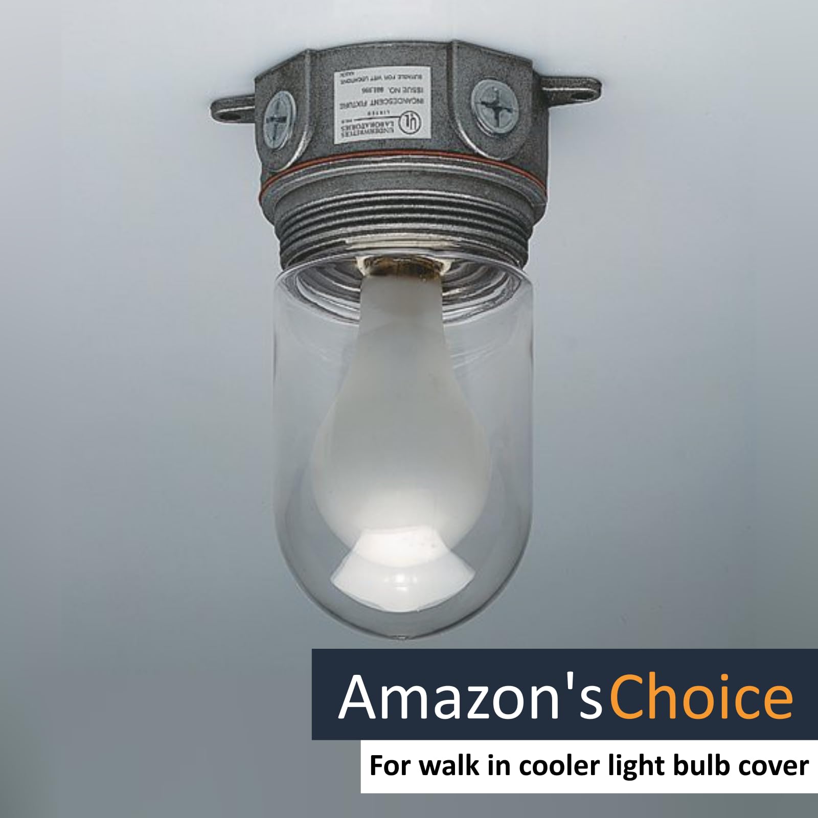 2-Pack Glass Globe Light Bulb Cover for Walk in Refrigerators, Light Bulb Protector Cage for Hood Bulbs, Light Bulb Covers for Bare Bulb 31902 by FryOilsaver Co CHG L10-X006