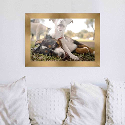 12x16 Wide Bronze Real Wood Picture Frame Width 1.5 Inches | Interior Frame Depth 0.5 Inches | Bronzo Wide Modern Photo Frame Complete with UV Acrylic, Foam Board Backing & Hanging Hardware