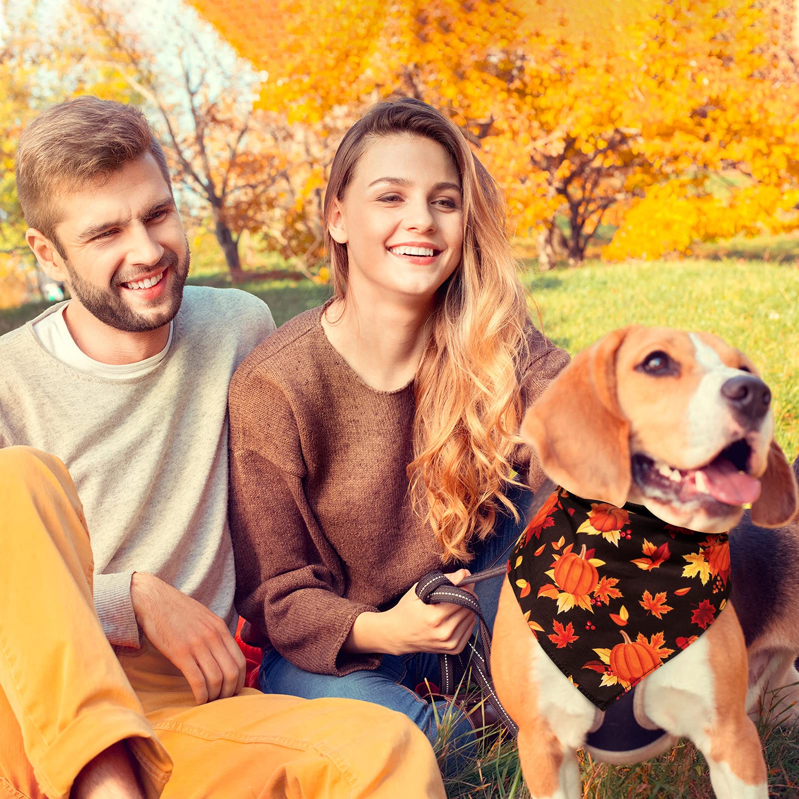 12 Pieces Thanksgiving Pet Bandana Fall Dog Bandanas Dog Fall Clothes Accessories Maple Leaf Pumpkin Patterned Autumn Pet Triangle Scarf Bibs for Large Small Dog Kerchief Cat Pet Fall Outfit Washable