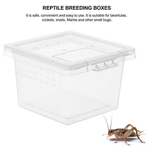 balacoo 100Pcs Reptile Breeding Box Plastic Transparent Feeding Case Hatching Container with Lid for Spider Scorpion Gecko Insect Snake Tortoise