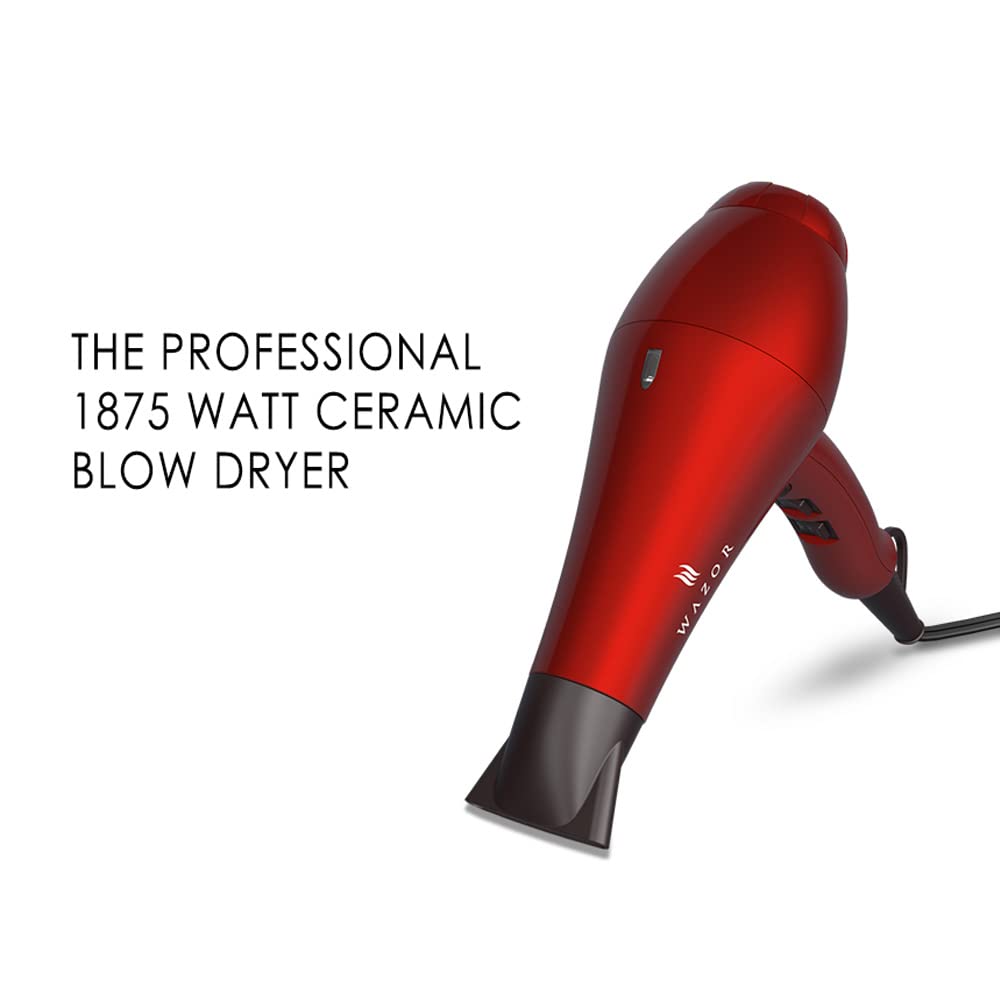 1875W Professional Ionic Hair Dryer, Salon Lightweight Blow Dryer, 2 Speed and 3 Heat Settings, Powerful Ceramic Fast Dryer with Diffuser, Concentrator and Comb (Red)