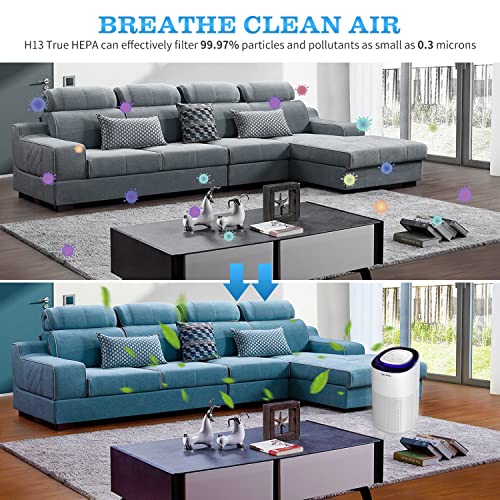Air Purifiers for Home Large Room up to 1076 sq.ft, 400+m³/h UV Light for removing Allergens, Smoke, Dust, Odors, Pollen, Pet Dander