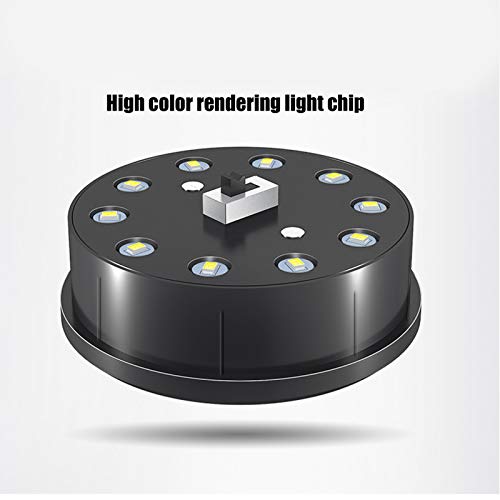 10LED Solar Garden Light, Solar Charging Home Courtyard Lawn Light, ABS+ Polysilicon Plat Decoration Lamp, Suitable for Outdoor Use