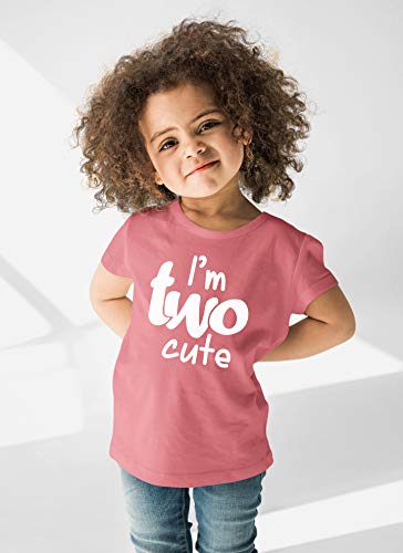 2nd Birthday Outfits for Toddler Girls im Two Cute Shirt Girl 2 Year olds Second (Mauve, 2 Years)