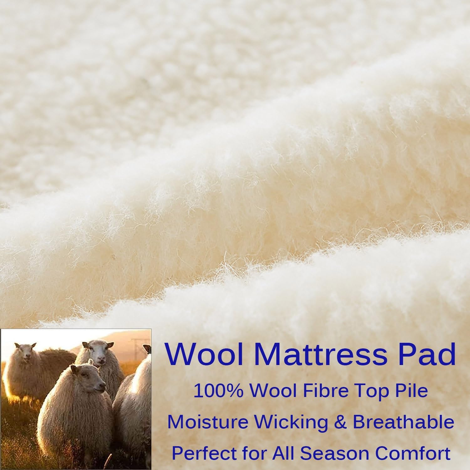 100% Wool Fleece Fitted Mattress Cover Pad with Elastic Bands,Breathable Lamb Wool Mattress,Thicken Pure Wool Bed Topper,Folding Lamb Velvet Mattress,for Twin/Full/Queen/King(King(180x200cm), White)