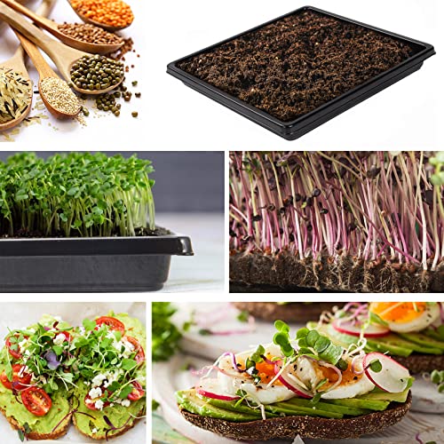 ANPHSIN Plant Growing Trays- 10 Pack 10.6β Γ 10.6β No Drain Holes Microgreens Growing Trays, Thickened Garden Plant Seed Starter, Indoor Greenhouse Seedling Propagation Trays for Wheatgrass