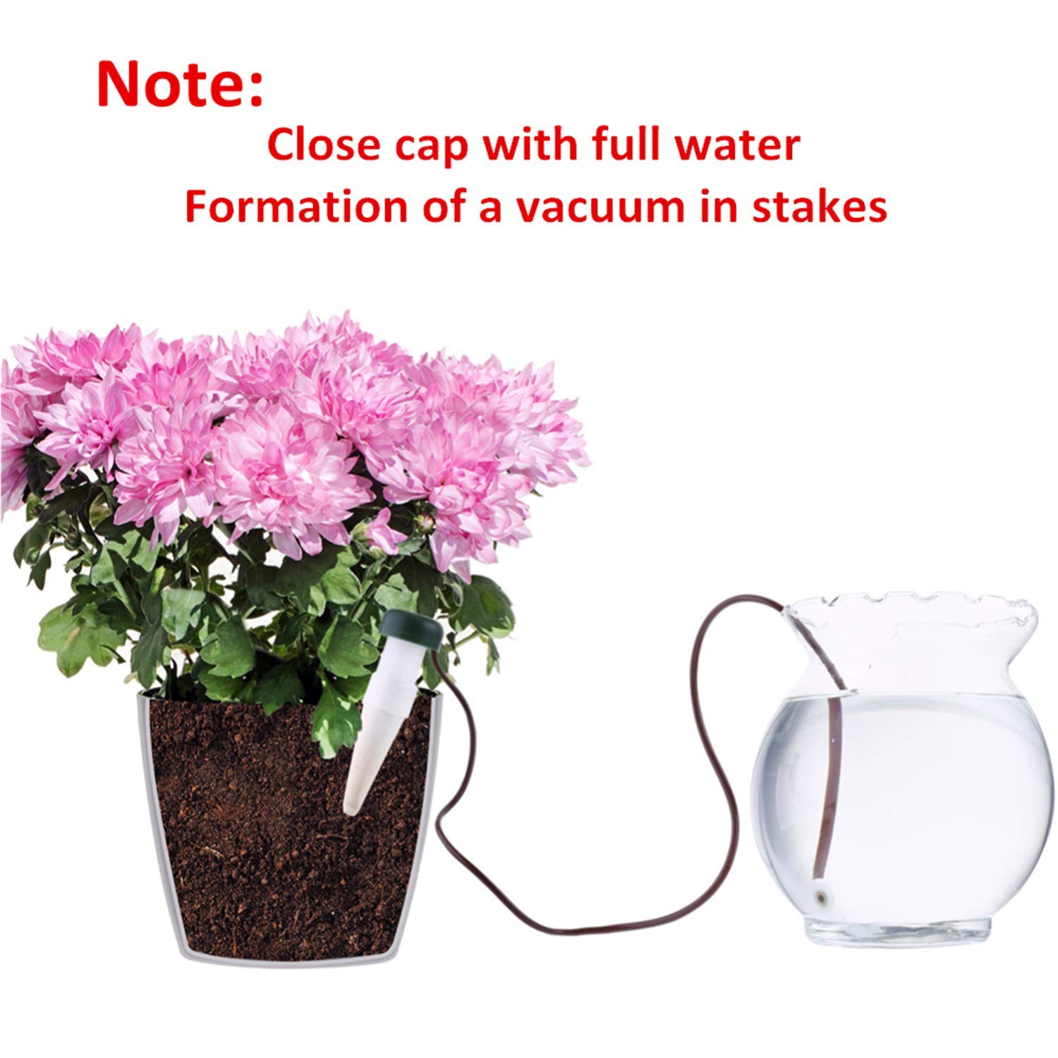16 Pack Plant Self Watering Stakes Insert Automatic Watering Devices Self Watering Spikes Indoor Outdoor Plant Watering for Vacation
