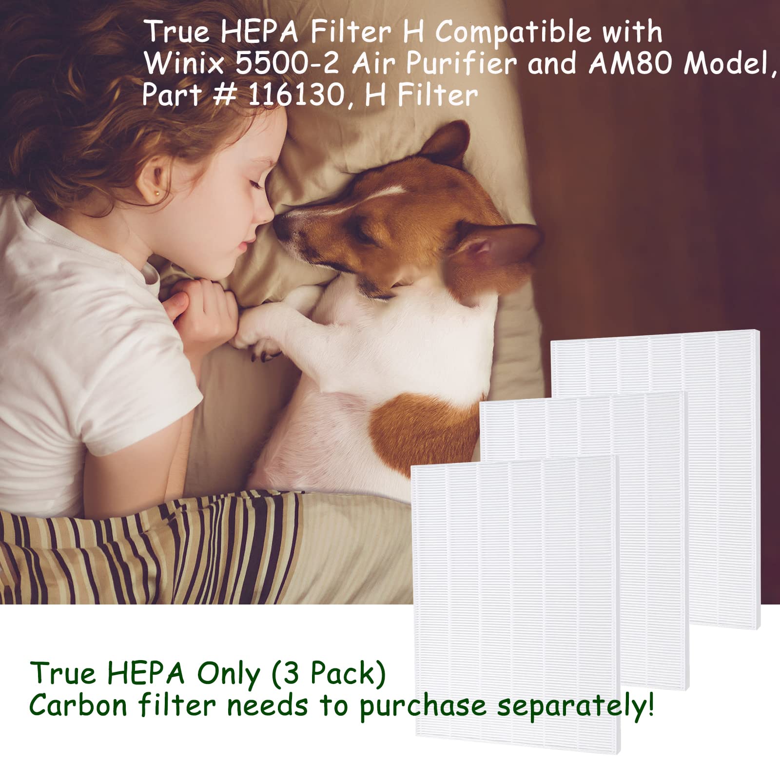 116130 HEPA Replacement Filter H Compatible with Winix 5500-2 Air Purifier and Models AM80, HEPA Filter Only 3 Pack