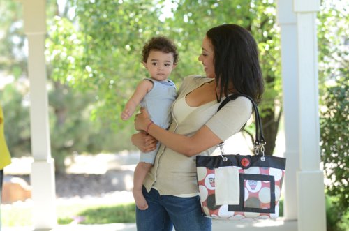 2 Red Hens Rooster Diaper Bag, Owl Dots