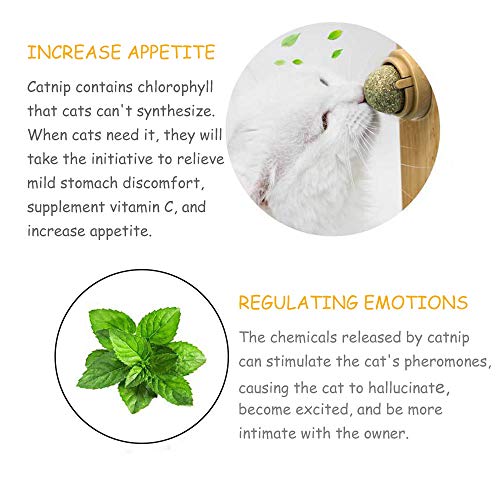 2 pcs Catnip Balls, Pure Natural Mint Leaf Rotating Interactive Cat Toys, Cat Removal Hairball Toys Can Be Sticky On Wall, Teeth Cleaning Catmint Toy for Cat, Kitten, Kitty Playing Chewing