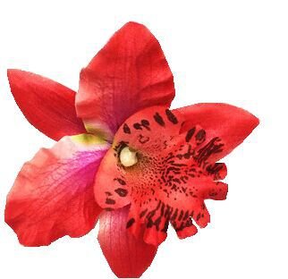 10 Pieces Women Chiffon Flowers Hair Clips Butterfly Orchid Alligator Clips for Bridal Wedding Accessory Beach Party Wedding Event Decor