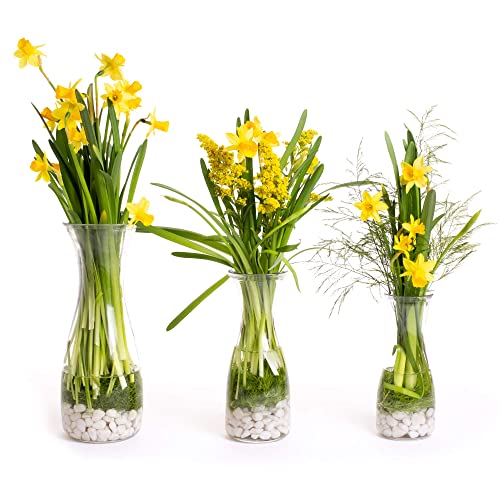12 oz (350 ml) Glass Carafe Beverage Bottles, 6-pack - Water Pitchers, Wine Decanters, Mixed Drinks, Mimosas, Centerpieces, Arts & Crafts - Restaurant, Catering, Party, & Home Kitchen Supplies
