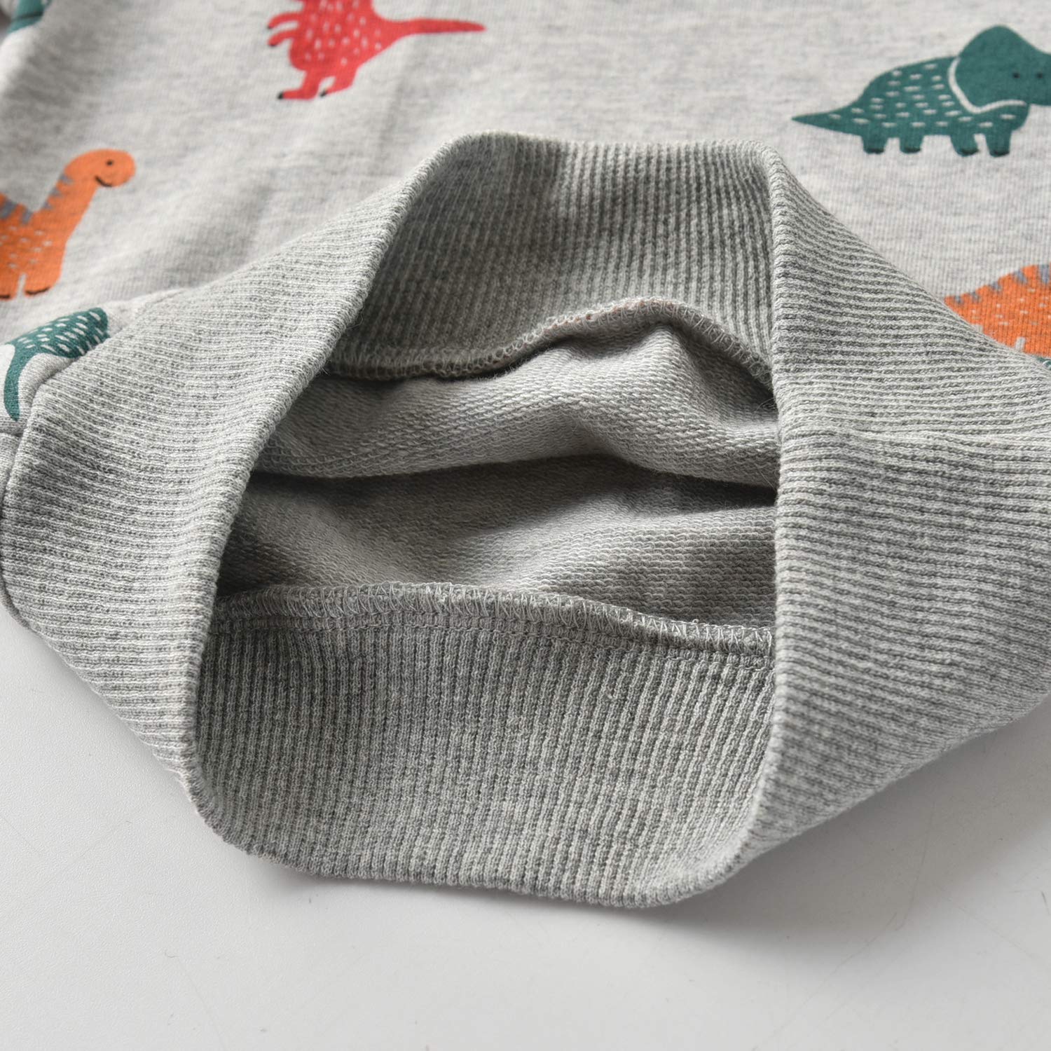 Toddler Infant Baby Boy Clothes Colored Dinosaurs Long Sleeve Hoodie Tops Sweatsuit Pants Outfit Set (12-18 Months)