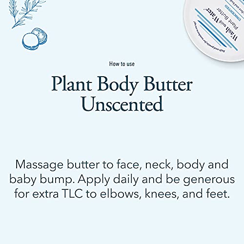 Wash with Water Plant Therapy Vegan Anti-Wrinkle Face & Body Butter Creamy Moisturizer with Enhanced Hydration and Antioxidant Support For All Skin Type, Petroleum Free, Steroid Free, 7oz, Unscented