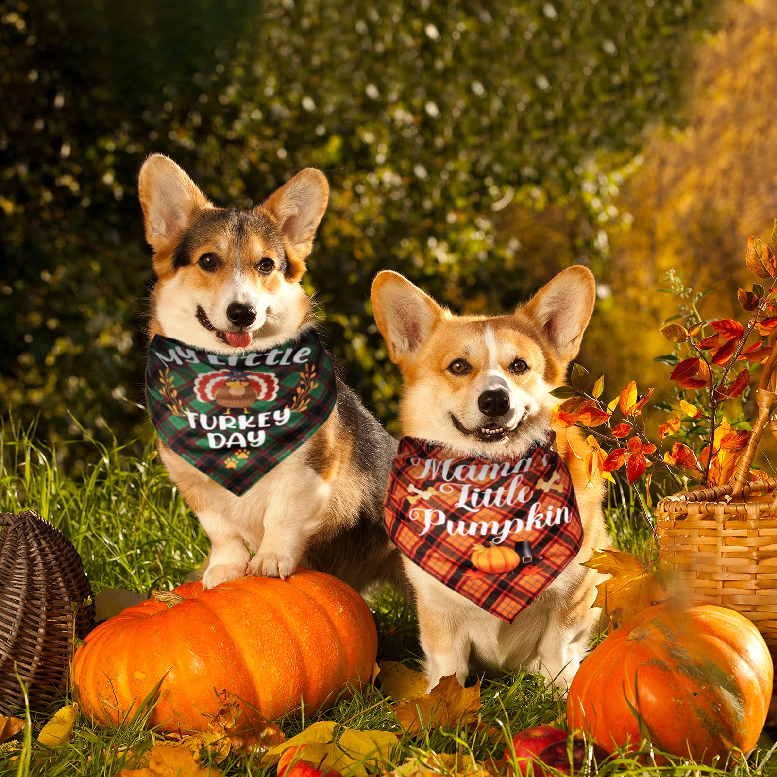 12 Pieces Thanksgiving Pet Bandana Fall Dog Bandanas Dog Fall Clothes Accessories Maple Leaf Pumpkin Patterned Autumn Pet Triangle Scarf Bibs for Large Small Dog Kerchief Cat Pet Fall Outfit Washable
