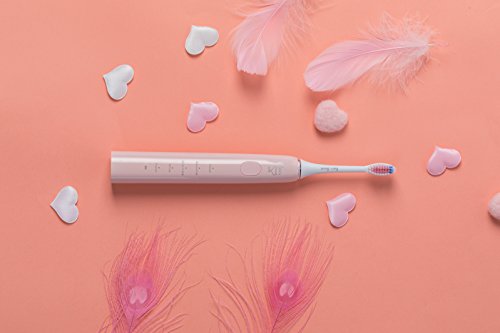 Kate's Secret Care Sonic Toothbrush Rechargeable One Charge Minimum 90 Days Use 5 Modes IPX7 Class Completely Waterproof 2 American Dupont Soft Head Brush - Pink