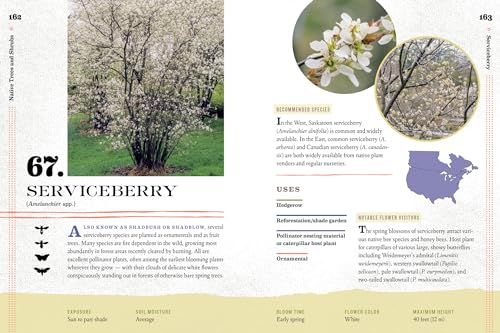 100 Plants to Feed the Bees: Provide a Healthy Habitat to Help Pollinators Thrive