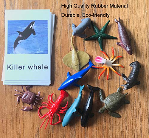 12 pcs Ocean Sea Animal Figures with 12pcs Matching Cards - OOTSR Ocean Creatures with Flash Cards for Education, Insect Themed Party, Playtime and Treasure Hunt