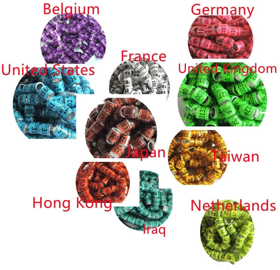 100Pcs Pigeon Ring/Dove Rings Multicolor Aluminium Pigeon Leg Rings Dove Leg Rings Identify Bands Plastic with 2023 AU Training Identify Birds Foot Ring, Quality Durable