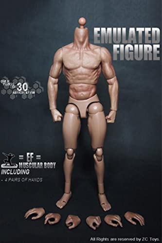 12'' Muscular Body,Male Flexible Action Figure Body Doll for 1:6 Scale Head Sculpt Carved