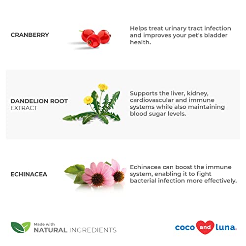 Cranberry for Dogs and Cats - Urinary Tract Support, Cat UTI, Bladder Support, Dog UTI, Bladder Stones and Incontinence Support