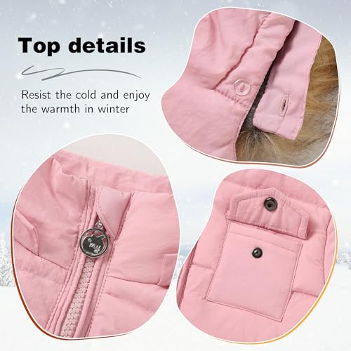 CARETOO Toddler Boys Girls Winter Down Coats Snowsuit Outerwear 2Pcs Clothes Hooded Jacket Snow Ski Bib Pants Outfits Set