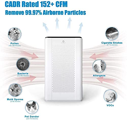 Airthereal Bundle | APH260 Air Purifier and 2-pack Spare Replacement Filter, Pure Morning