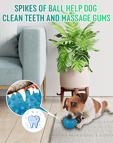 2.5" Squeaky Dog Balls for Small Medium Dogs, 6 Pack Small Dog Chew Toys with Spike, Puppy Toys for Teeth Cleaning and Training