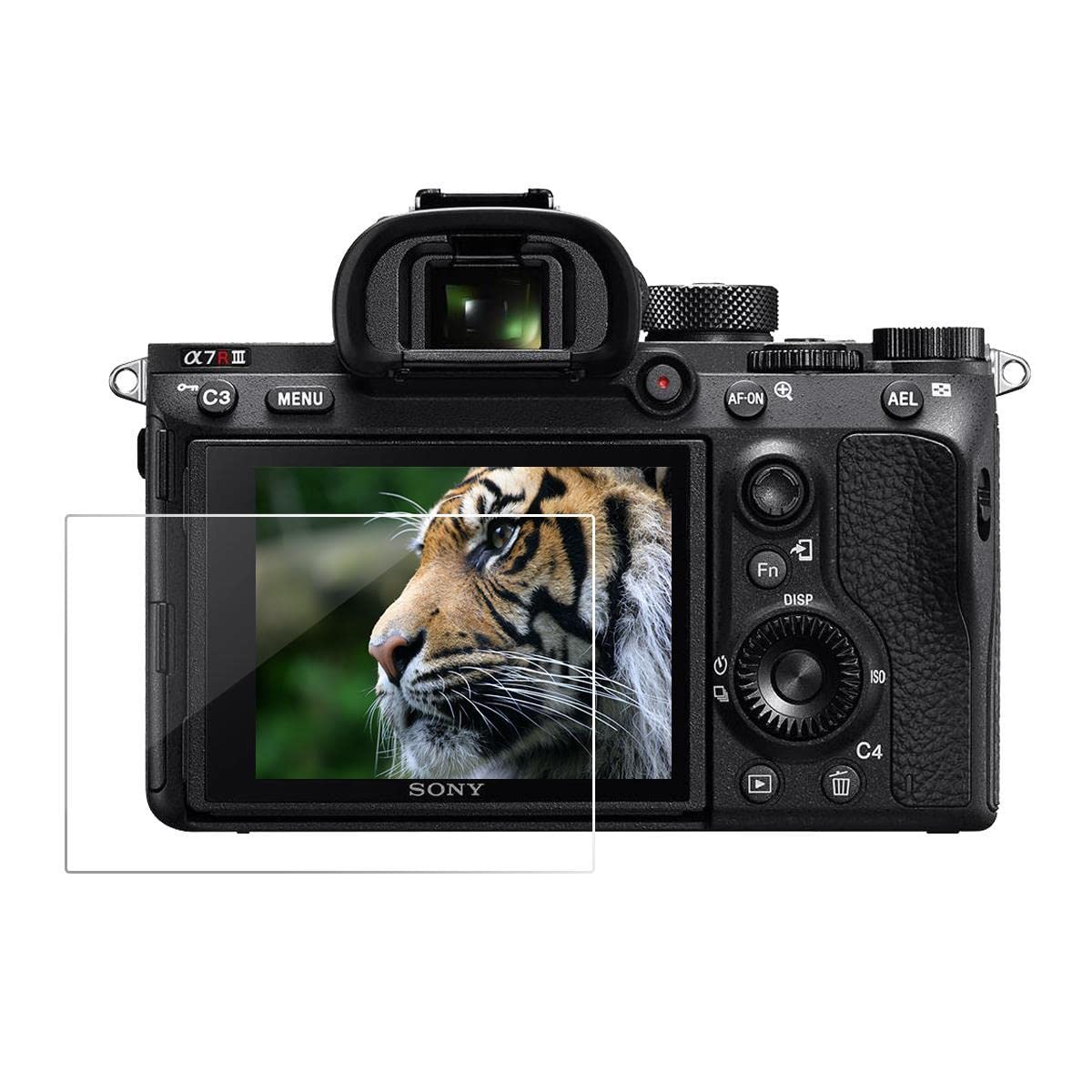 Sony Alpha a7S III Mirrorless Camera with 16-35mm f/2.8 Lens Bundle with Manfrotto XPRO Aluminum Monopod with Fluid Video Head, Filter Kit, Extra Battery, Lens Case and Accessories