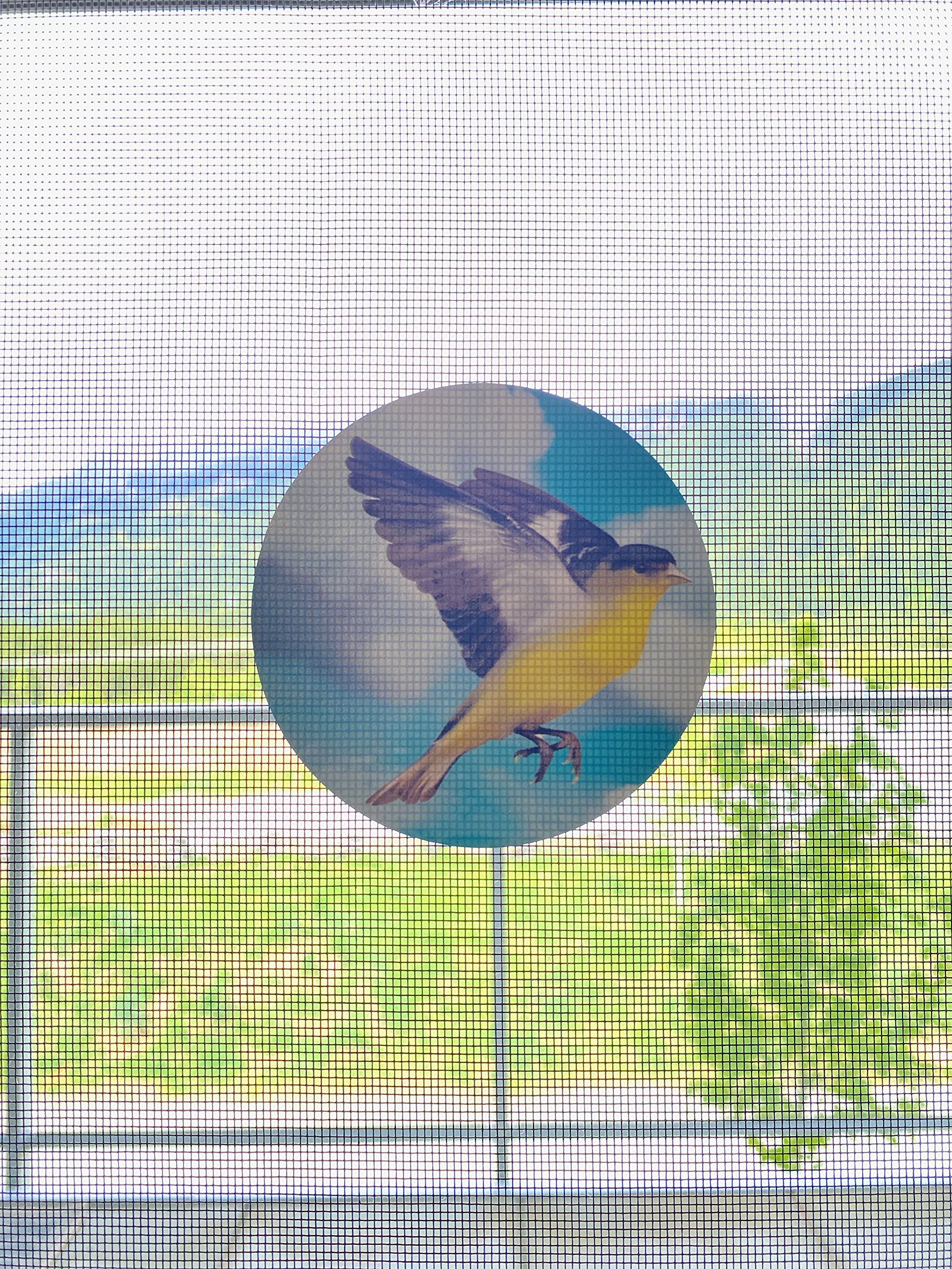 Retractable Screen Door Decals (Stickers) - 6 per Package - Keep Children Safe - Alert Birds, Dogs, Kids - Warn, Protect, Window Safety - Birds