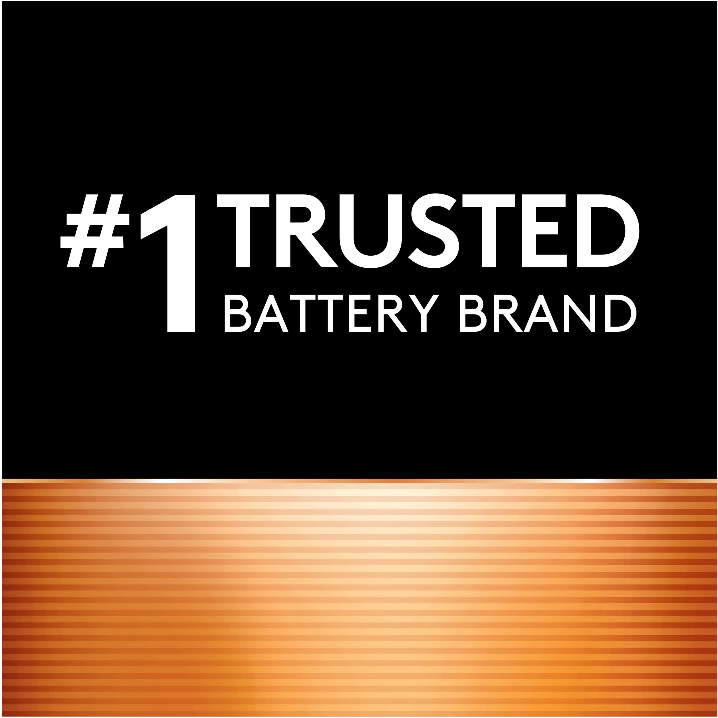 Duracell 301/386 Silver Oxide Button Battery, 1 Count Pack, 301/386 Battery, Long-Lasting for Watches, Medical Devices, Toys, and More