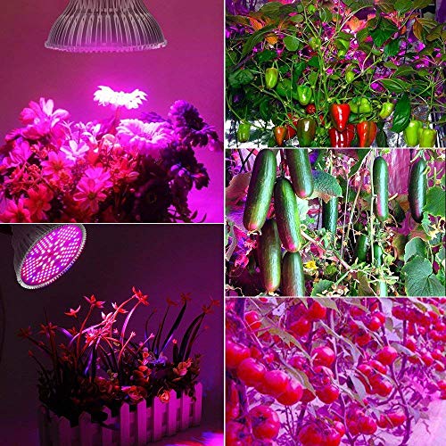 100W Led Grow Light Bulb Full Spectrum,Plant Light Bulb with 150 LEDs for Indoor Plants,E26/E27 Socket,Grow Lamp for Hydroponic Indoor Garden Greenhouse Succulent Veg Flower