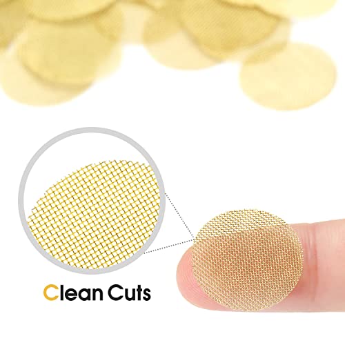 200pcs 3/4 Inch Brass Pipe Screens, 3/4 Inch Brass Pipe Screen with Storage Box