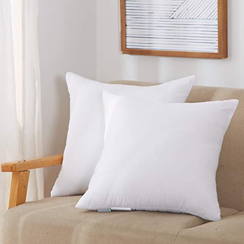 Acanva Throw Inserts Couch Stuffer Pillows Hypoallergenic Square Form Washable Cushion Filler, 2 Count (Pack of 1), White