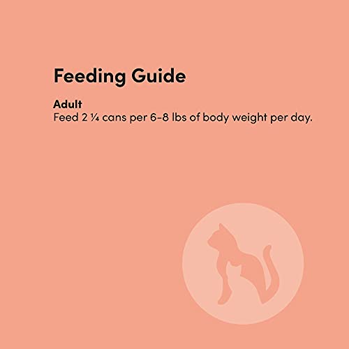 Amazon Brand - Kitzy Pate Canned Cat Food, Chicken and Rice, 3 Oz ( 24 Pack)