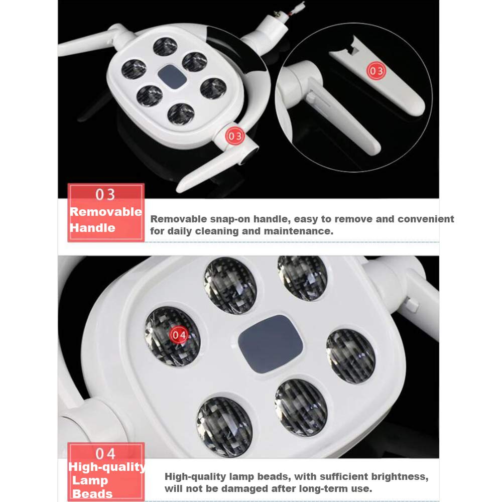 15W Induction Light Dental LED lamp AC/DC 12-24V Dental Oral Lamp for Dental Chair Unit, Pet Surgery Lamp(22mm Connector)