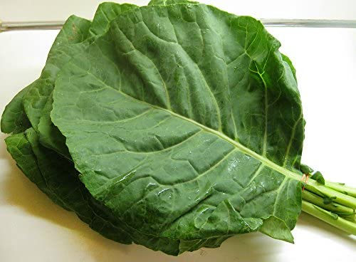 100+ Giant Collard Georgia Southern Seeds Herb Collards Heirloom Non-GMO from USA