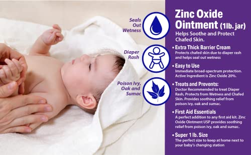 16 oz Globe Zinc Oxide 20% Skin Protectant Barrier Ointment, Treatment for Diaper Rash, Relief From Poison Ivy, Sumac & Oak, Protects From Wetness, Protects Chafed Skin