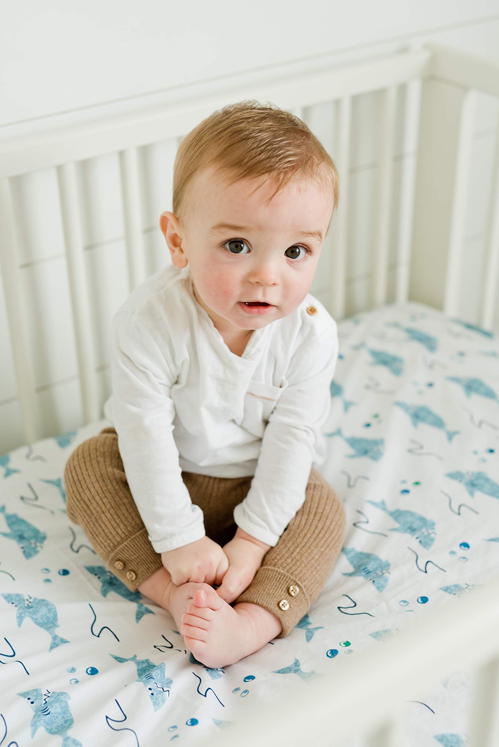 100% Cotton Fitted Crib Sheet - Premium Baby Bedding - Soft, Breathable & Durable - Shark Print