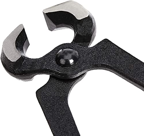 Amazon Basics Chrome Vanadium Steel Carpenter's Pincers for Wire Cutting and Nail Pulling, 150mm