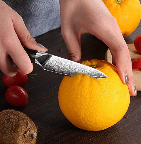 DDAUOSG Paring Knif 3.5 inch Japanese VG10 Super Steel 67 Layer High Carbon Stainless Damascus Steel Peeling Utility knives