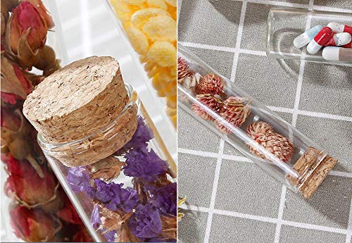 10PCS Empty Glass Clear Test Tube Message Bottles Vials Jars Packing Container with Wood Cork Stoppers for Scientific Experiments Tea Powder Liquid Storage Dispenser(40ml-30mmx80mm)