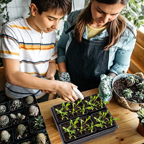 ANPHSIN Plant Growing Trays- 10 Pack 10.6β Γ 10.6β No Drain Holes Microgreens Growing Trays, Thickened Garden Plant Seed Starter, Indoor Greenhouse Seedling Propagation Trays for Wheatgrass