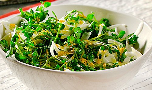 200+ Watercress Seeds Heirloom Non-GMO Delicious Superfood! Easy to Grow! from USA