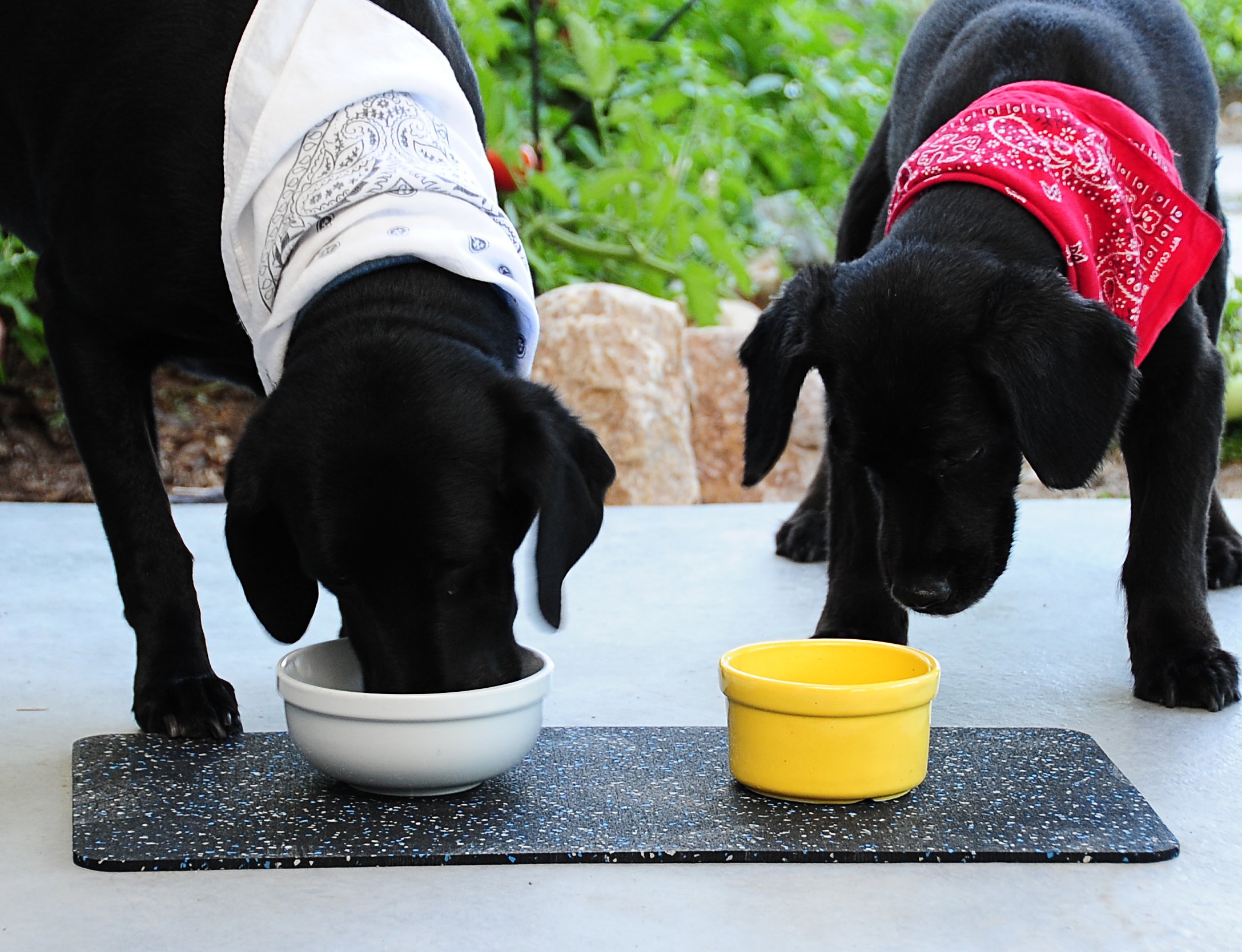 100% Recycled Rubber Pet Bowl Mat. Made 100% in the U.S.A.! Easy clean up, anti-skid, completely water-proof and extremely durable!