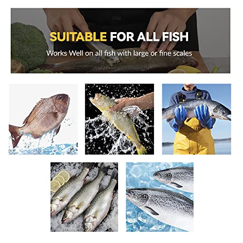 ADORAMBLING Fish Scaler Stainless Steel Fish Scaler Remover with 58 Sawtooth Easily Remove Fish Scales Fish Descalers Fish Scraper for Chef and Home Cooks